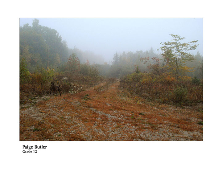 Paige Butler's Instagram, Twitter & Facebook on IDCrawl