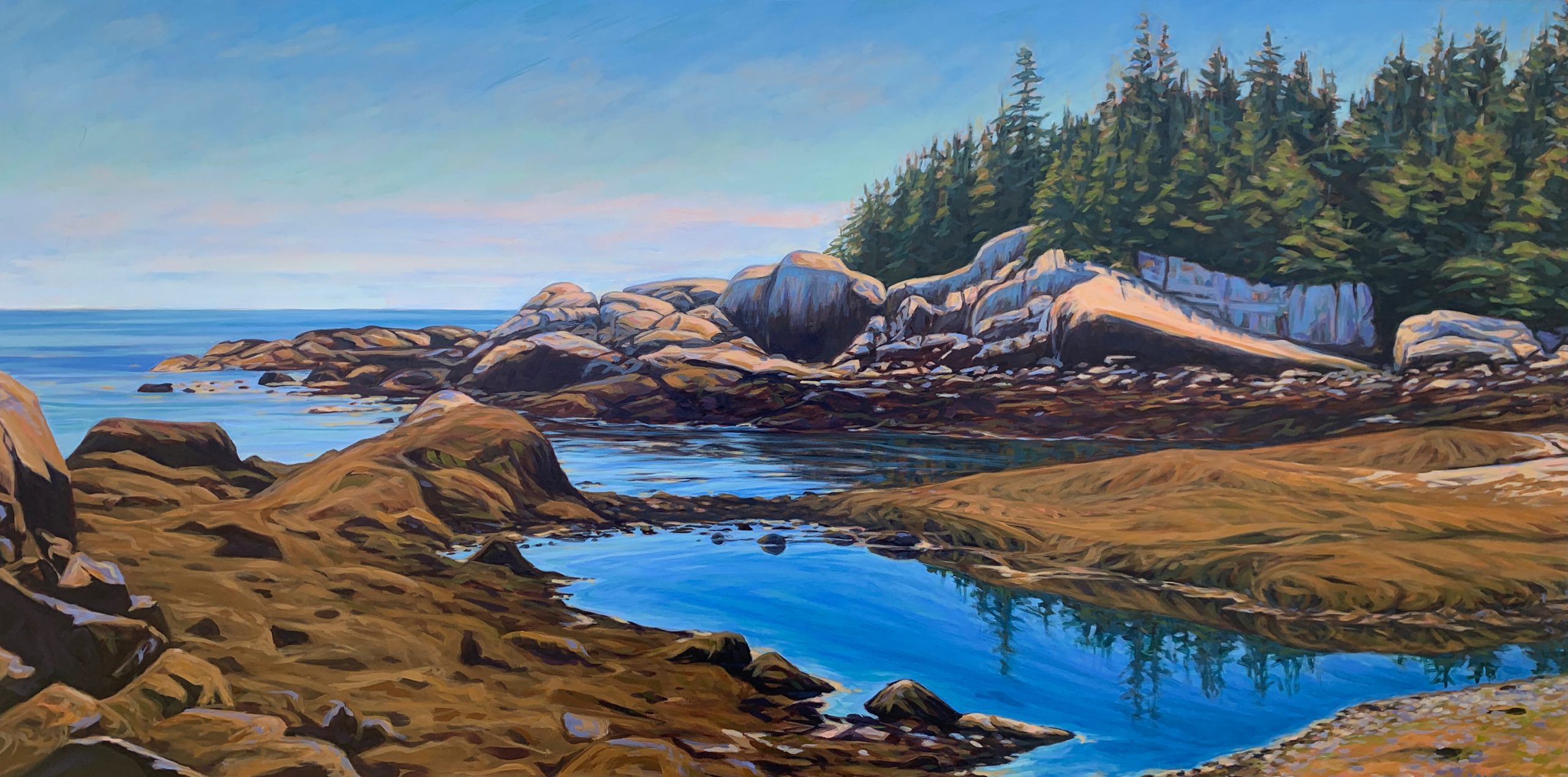 Tide Pool and Island - Blue Hill Public Library