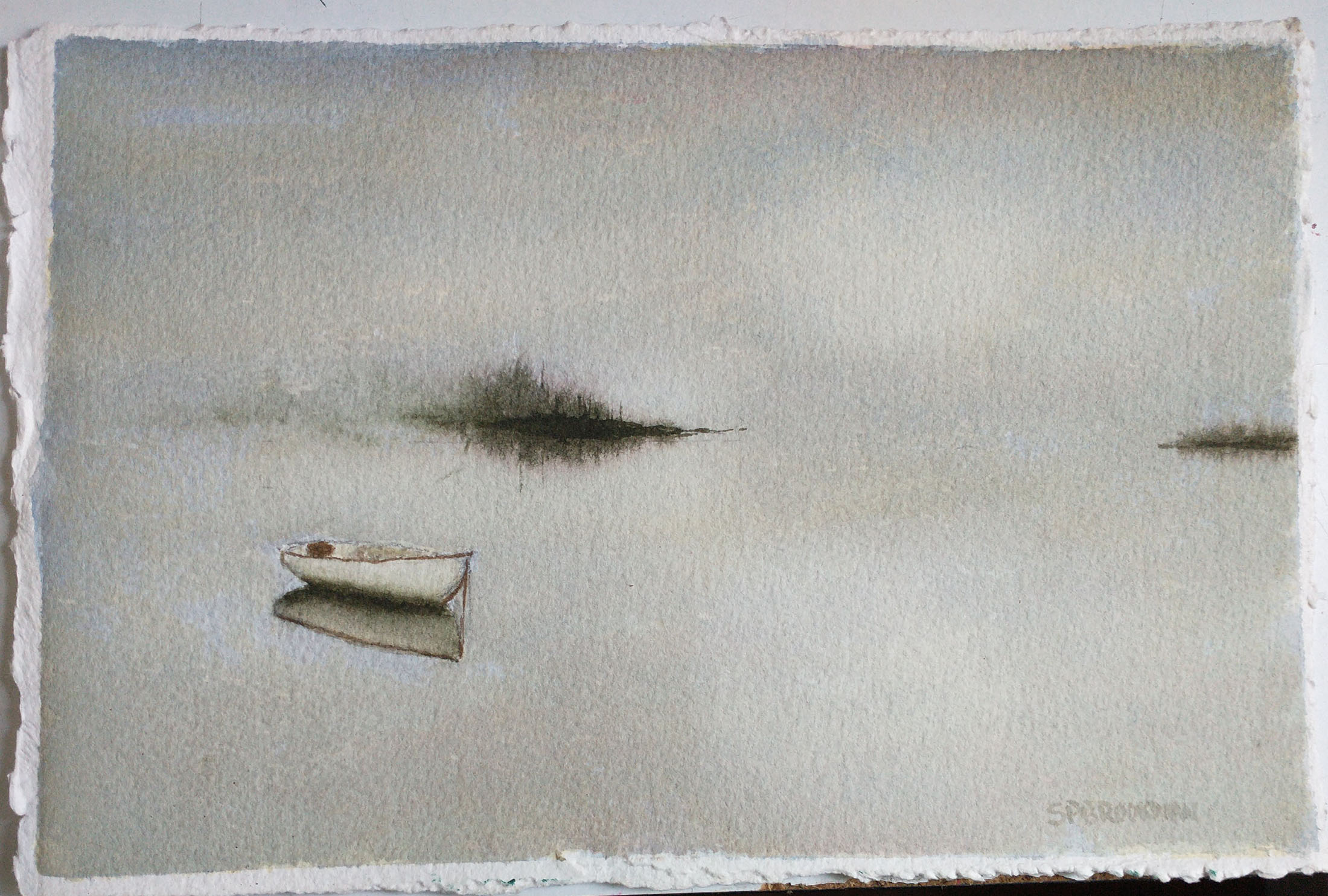 seal bay fog Steve Brookman - Blue Hill Public Library